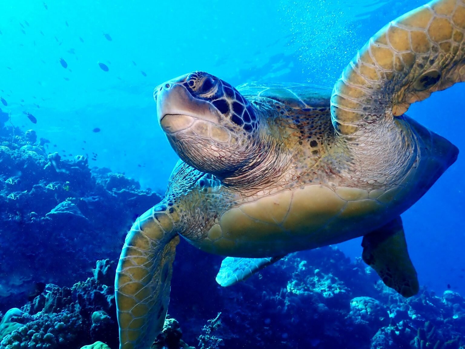 15 Tourism Destinations To Visit In Indonesia With Natural Wonders ...
